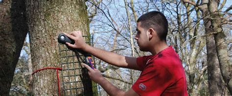 Understanding Null And Alternative Hypotheses For Better Math Skills