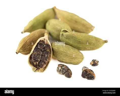 Soft Focus On Green Cardamom Seeds And Pods On White Background The
