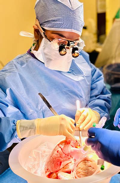 Ex Vivo Lung Perfusion Lungs In A Box Expert Insights