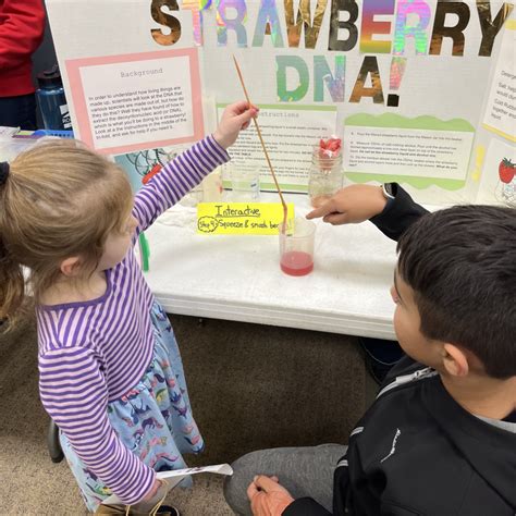 Preparing Future Problem Solvers How Project Based Learning Works Community School