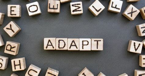 Software Engineerings Soft Skills Part 3 — Adaptability And Flexibility Soft Skills Skills