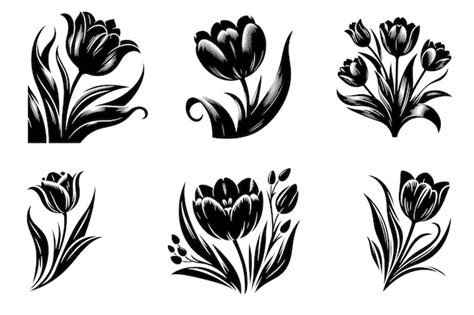 Premium Vector Tulip Flower Images Amp Vector Illustration