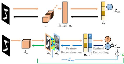 논문 리뷰 Hierarchical Feature Level Reverse Propagation For Post
