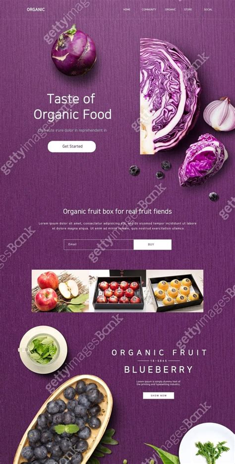 웹템플릿 메인페이지 이미지 홈페이지 유기농 주제 유기농농장 농장 과일 채소 음식 건강한생활 주제 시장 상점 이미지 Jv11939347