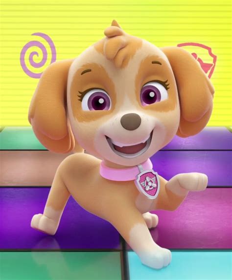 Pup Boogie Dance Party Skyes Music Party Paw Patrol Music Video
