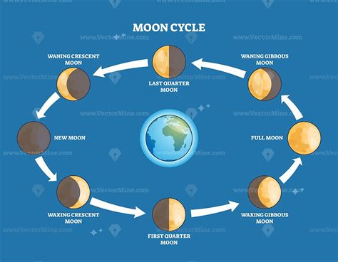 Moon Cycle Diagram The Cycles Of The Moon