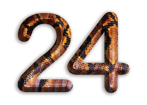 Premium Photo 24 Number Shape With Snake Skin Motif Design Python Skin