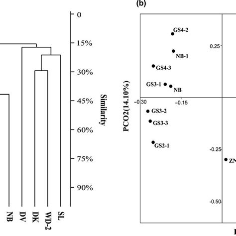A Similarity Unweighted Pair Group Method With Arithmetic Mean