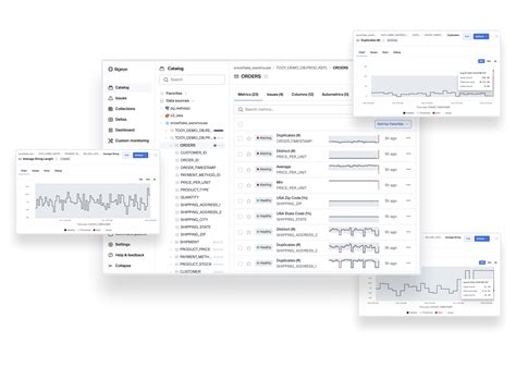 Enterprise Data Monitoring Platform Bigeye