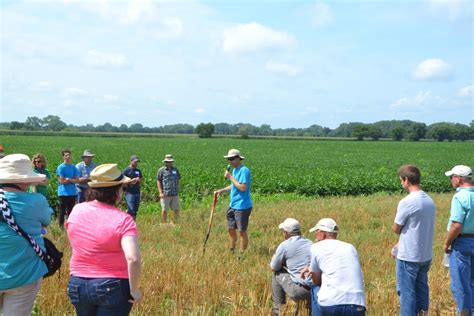 Weed Suppression And Cover Crops Finding The Facts
