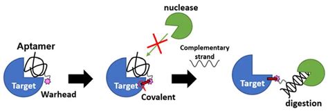 Timeline Representation Of Approved Covalent Inhibitors In History