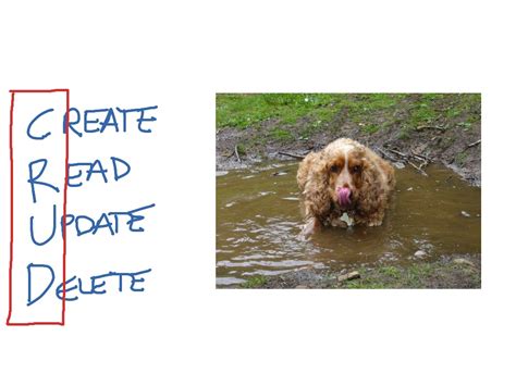 What Is Crud Software Development Computer Programming Computer