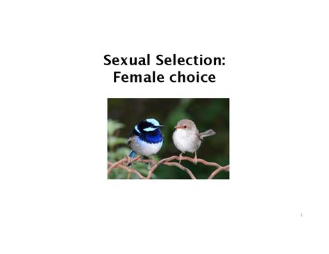 P Female Choice Unit Slides Sexual Selection Female Choice Todays Lecture Sexual