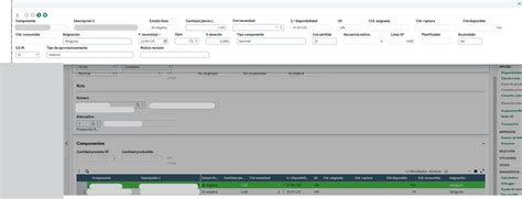Conditional Style In Of Does Not Work General Discussion Sage X3