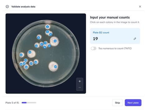 Model Validation Reshape