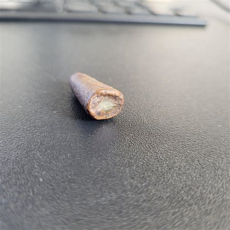 Ancient Bullet Or Dino Tooth Rfossilid