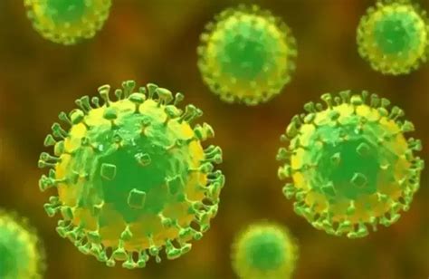 Berawal Dari Malaysia Apa Itu Virus Nipah Simak Gejalanya Ini