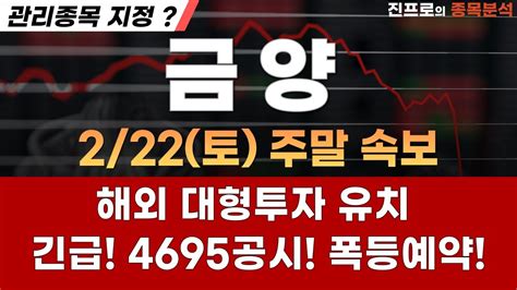 금양 긴급 해외자금유치성공 관리종목 지정 금양 금양주가전망 금양매도가 금양리튬광산 대박주 포스코홀딩스