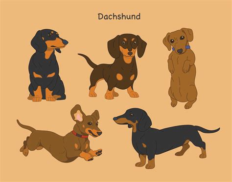 Cute Dachshund Character Hand Drawn Style Vector Design Illustrations 2286399 Vector Art At