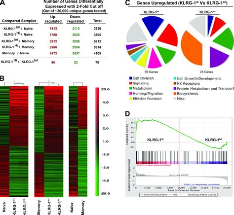 Genome Wide Microarray Analysis Of Memory Precursors And Terminal