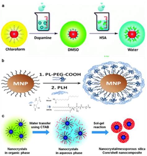Nanoparticles For Improving Cancer Diagnosis Abstract Europe PMC