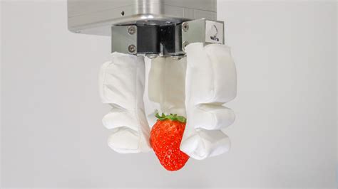 Engineers Developed A Human Hand Inspired Soft Robotic Gripper