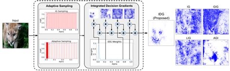 left an overview of the adaptive sampling algorithm and the idg