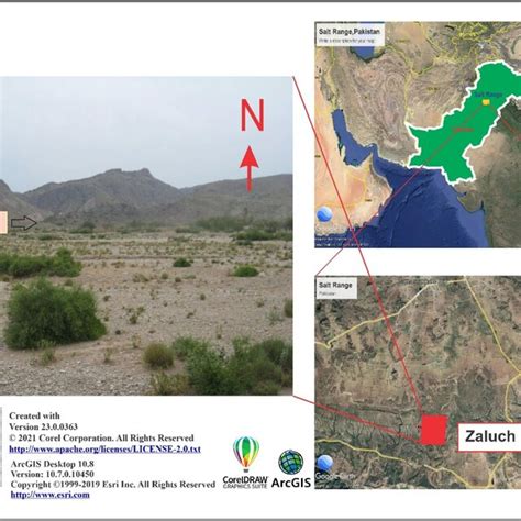 Geological And Stratigraphic Setting Of The Study Area Salt Range
