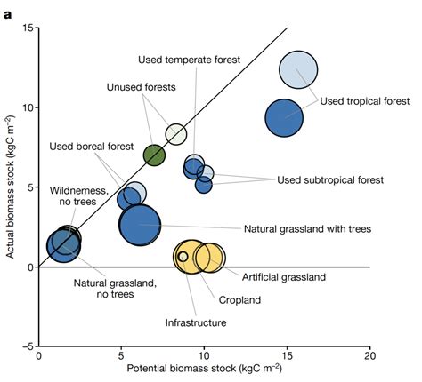 Biomassgraph Global Coral Reef Alliance