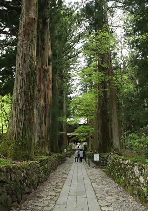 【駒ヶ根】早太郎伝説と自然に癒されるお寺！光前寺へ行ってきた【長野の寺院】 ちくブロ