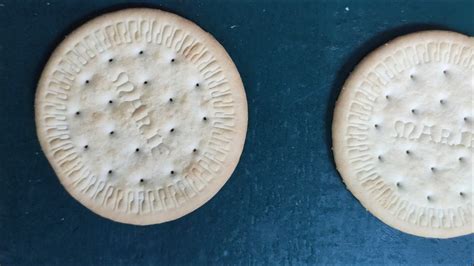 Testing Object Detection Dataset By Wei Jia