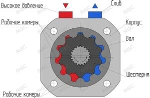 Героторные гидромоторы: что это и как работает, устройство и сферы ...