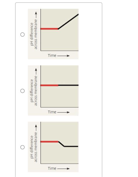 [solved] The Graph Here Shows The Ph Difference Across The Inner Course Hero