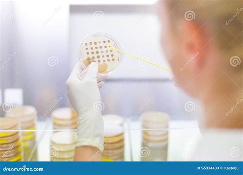 Observing Cell Division Under A Microscope Focusing On Daughter Cells As They Form During