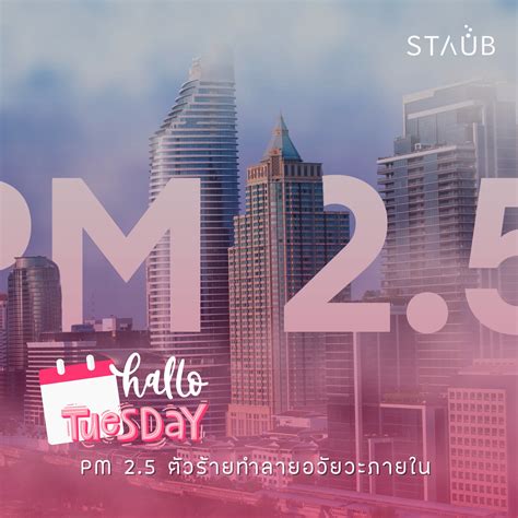 Staub Good Health Calling 📞🧡 สุขภาพดีแค่มี Staub เป็นตัวช่วย