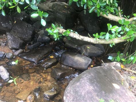 ප්‍රදාන මාර්ග ආසන්න ්යේ සාරවත් පොල් වගාව සහ කුබුරු ඇතුළු විසාල ඇල මාර්ග2ක් මැදින් යන අක් 5 ඉඩම