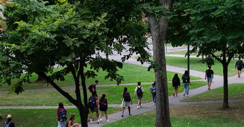 Colleges Are Reporting Post Affirmative Action Data Be Careful