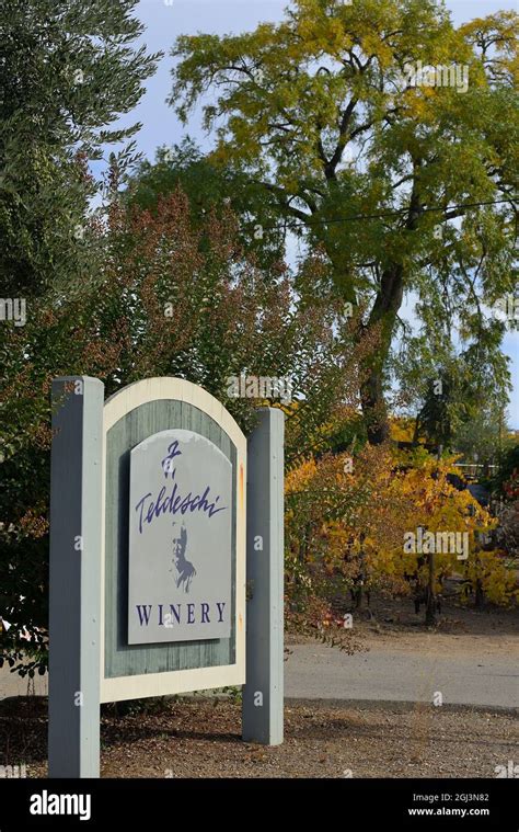 F Teldeschi Winery Beautiful Fall Scenery At The Dry Creek Ava