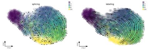 Scnt Seq Neuronal Activity — Dynamo 100 Documentation