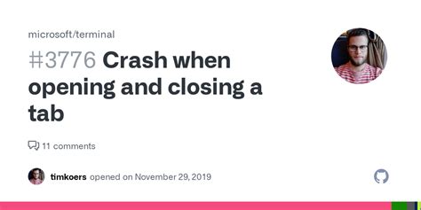 Crash When Opening And Closing A Tab · Issue 3776 · Microsoftterminal