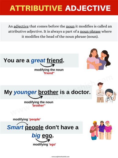 Attributive Adjective A Complete Guide