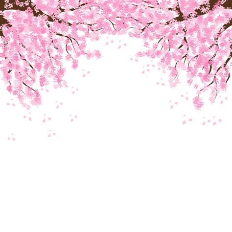 Hand Drawn Sakura Blossom 23450902 Png