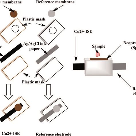 The Potentiometric Response And Time Trace For Cu²⁺ Paper Based Sensors