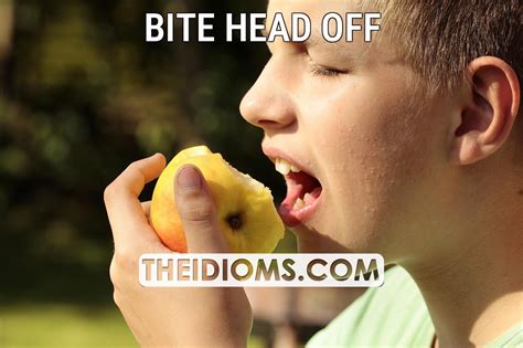 Bite Head Off Meaning Origin Example Sentence Etymology