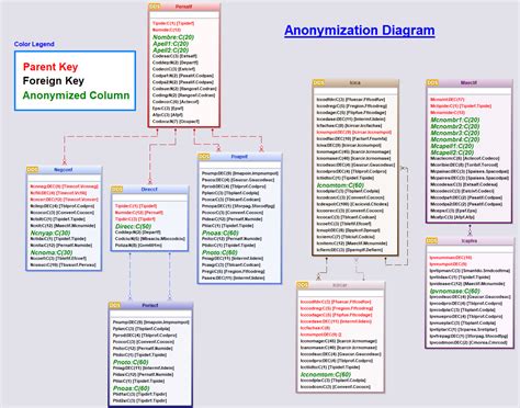 anonymize db xcase