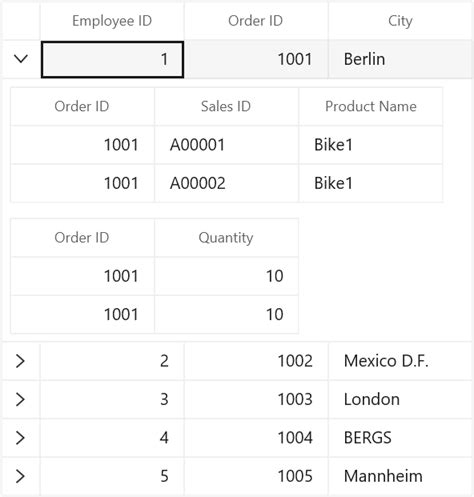 Master Details View In Winui Datagrid Control Syncfusion®