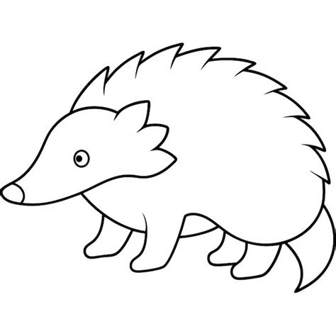 에키드나 색채 페이지 터 일러스트레이션 라인 아트 프리미엄 Ai 생성 벡터