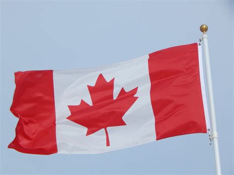 Free Images Maple Leaf Illustration Red Flag Canadian Flag Canada