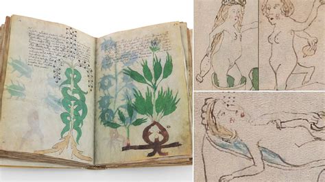 Has The Worlds Most Mysterious Text Finally Been Cracked Experts Claim 600 Year Old Voynich