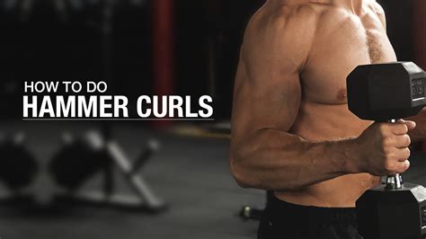 How To Do Hammer Curls Athlean X